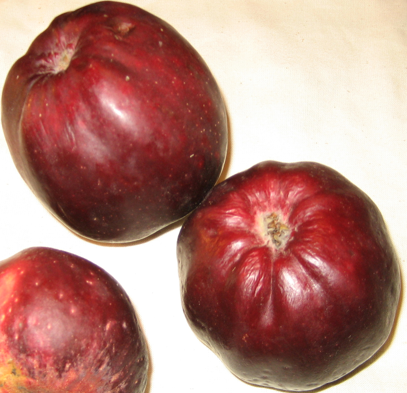 EkoDrevesnica OCEPEK